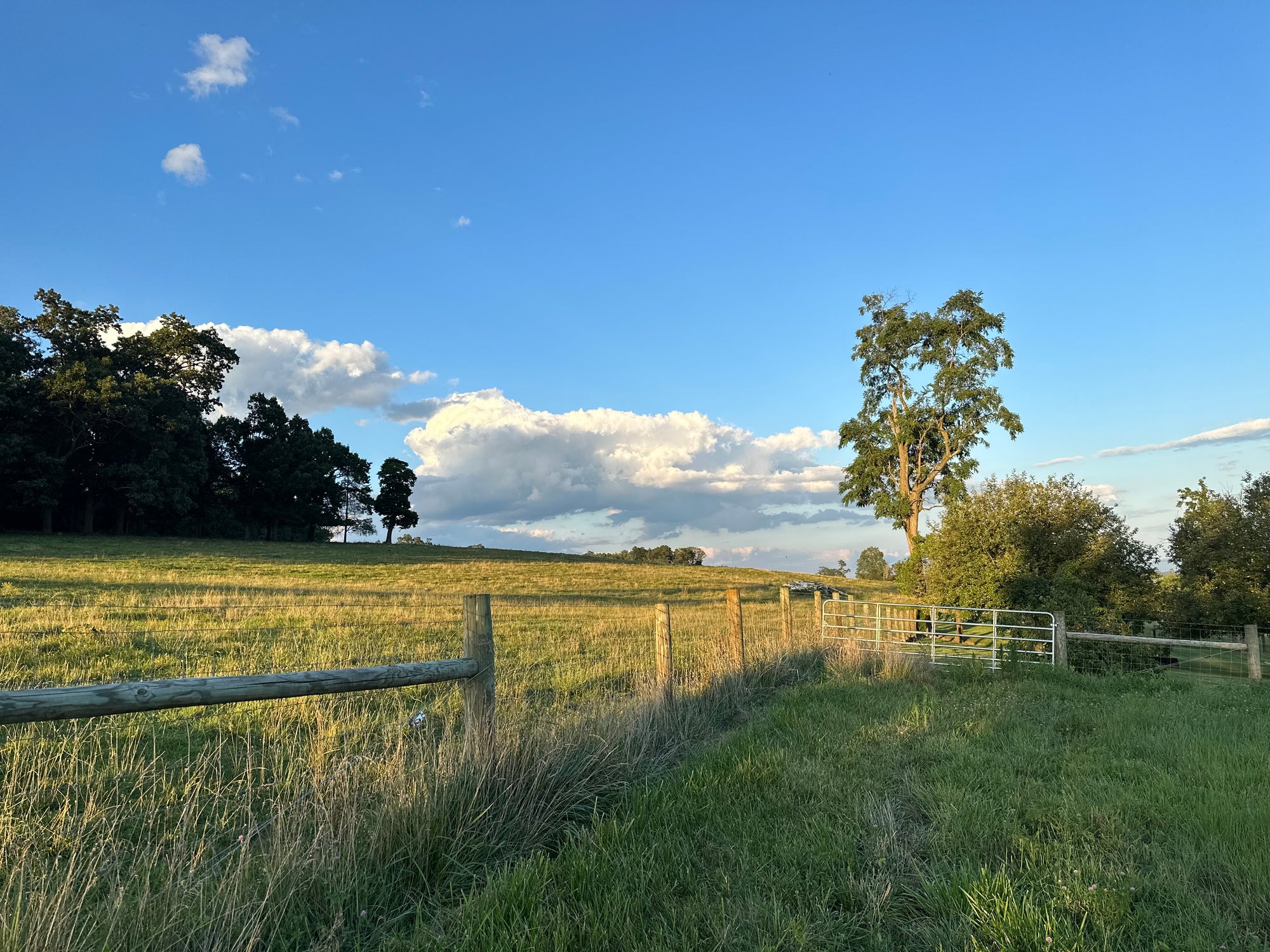 Contact – Reid Western